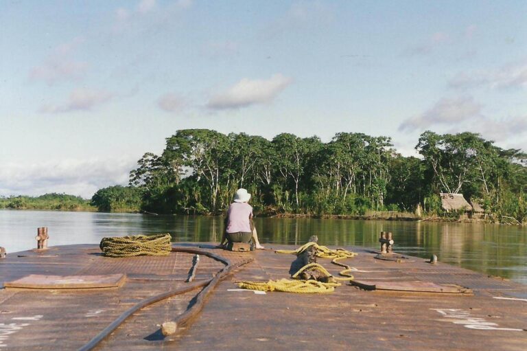 31 Amazing Amazon Rainforest Facts for Kids